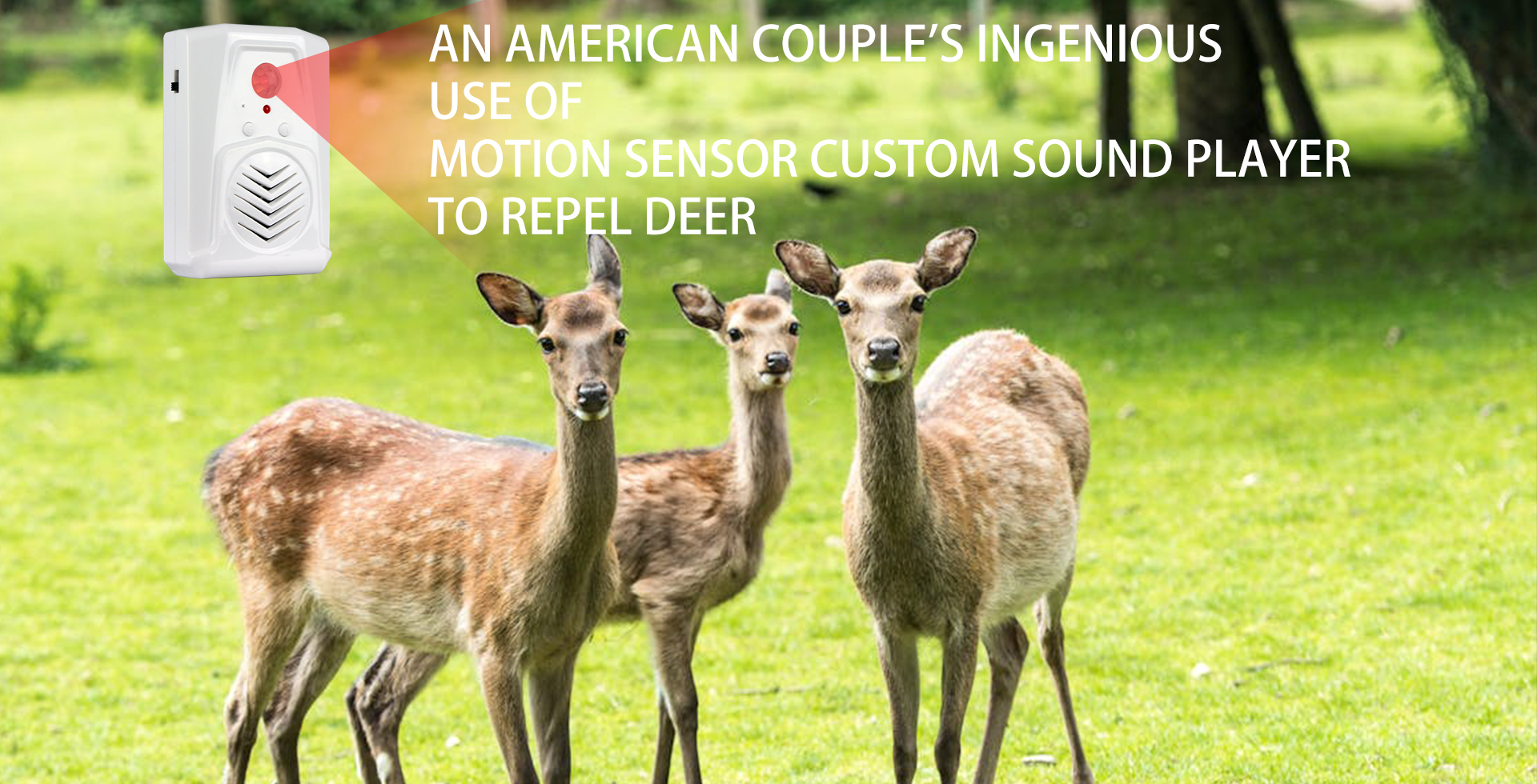 An American Couple's Ingenious Use of Motion Sensor With Custom Sound ...